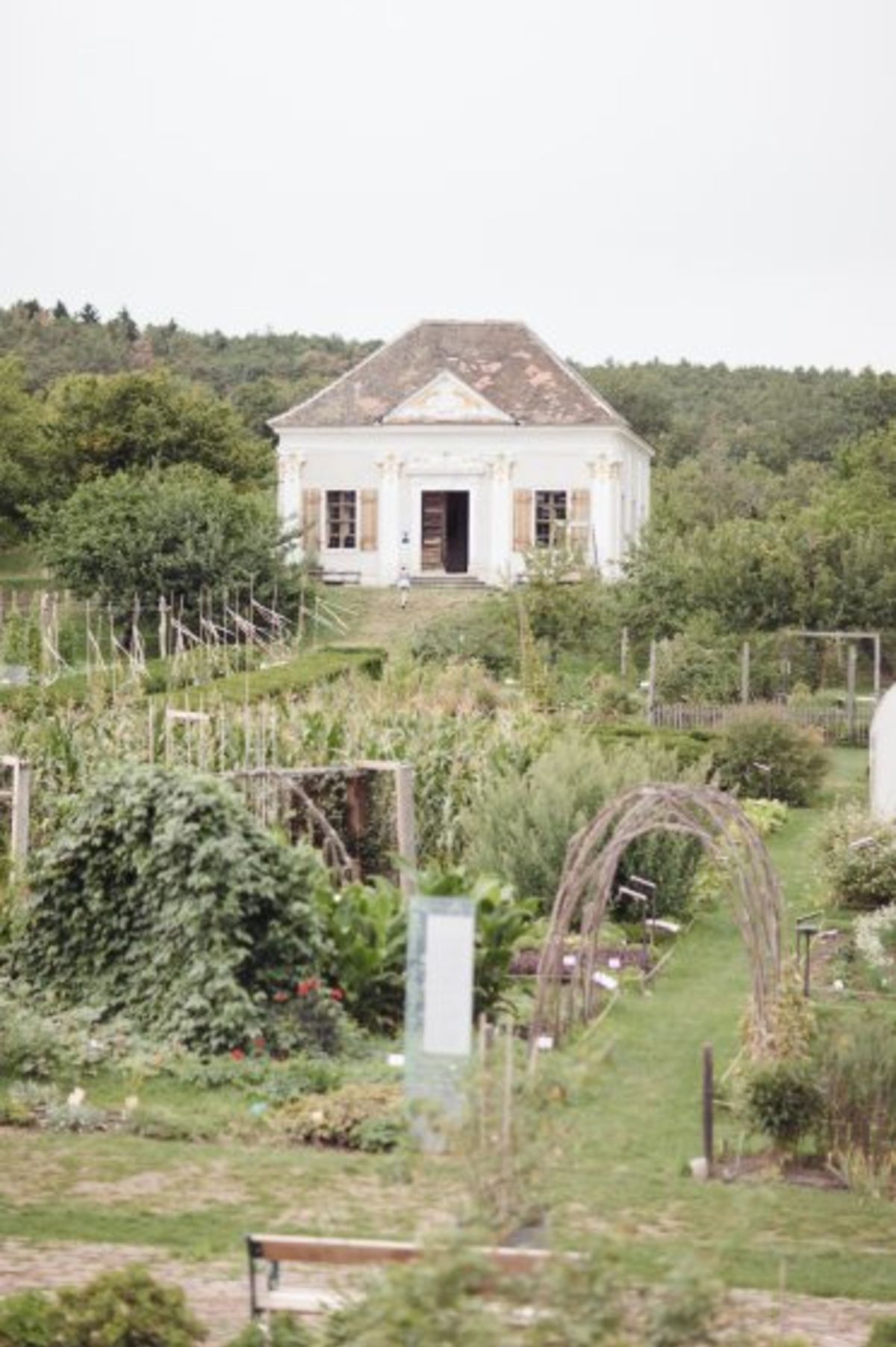 Hochzeitsreportage in Niederösterreich: Arche Noah ♥ Inspirationsbilder ...