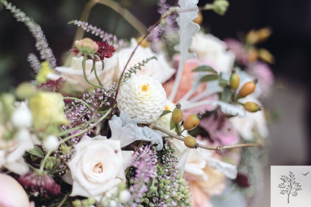 Hochzeitsreportage in Niederösterreich: Arche Noah ♥ Inspirationsbilder ...