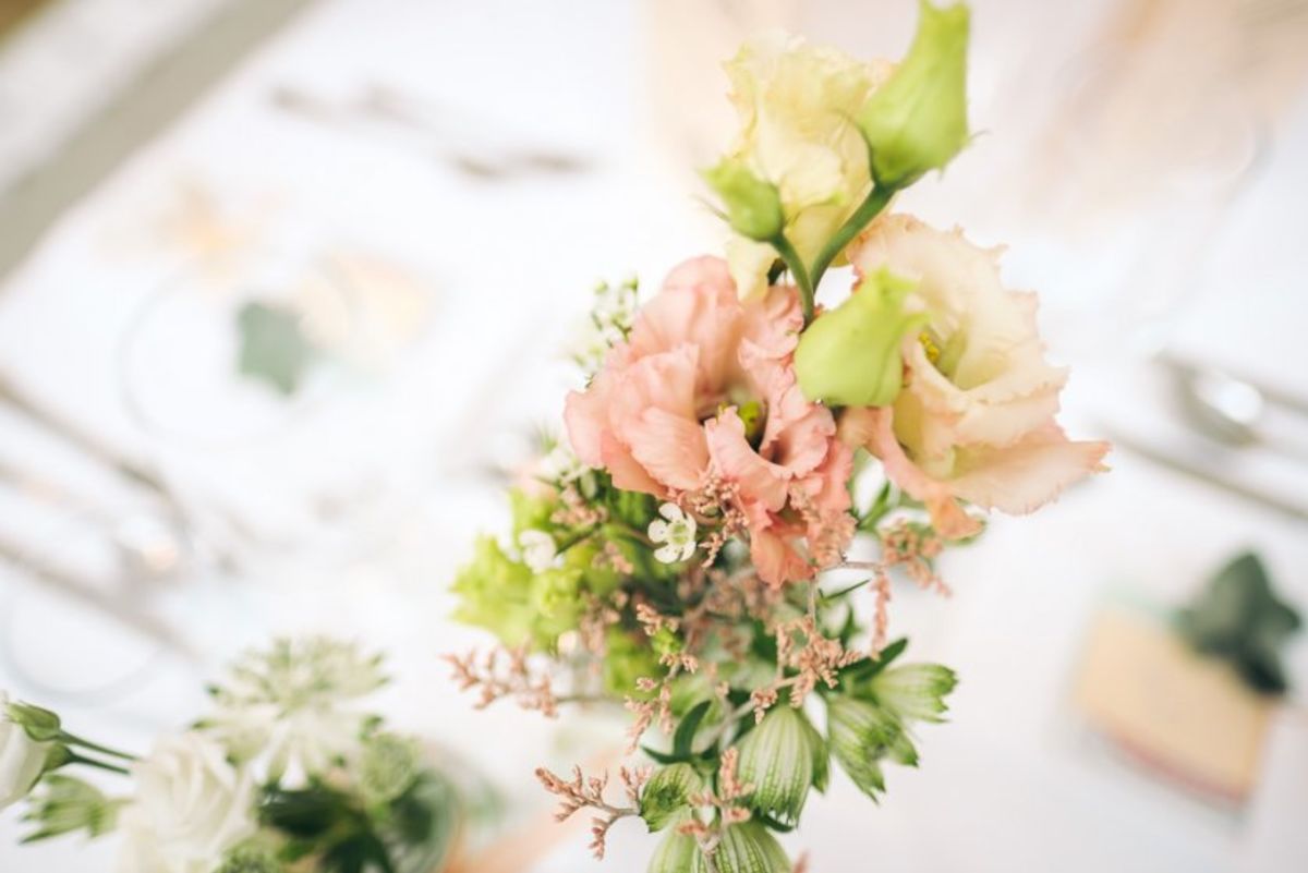 Hochzeitsreportage in Niederösterreich: Felmayer's Gastwirtschaft ♥ ...