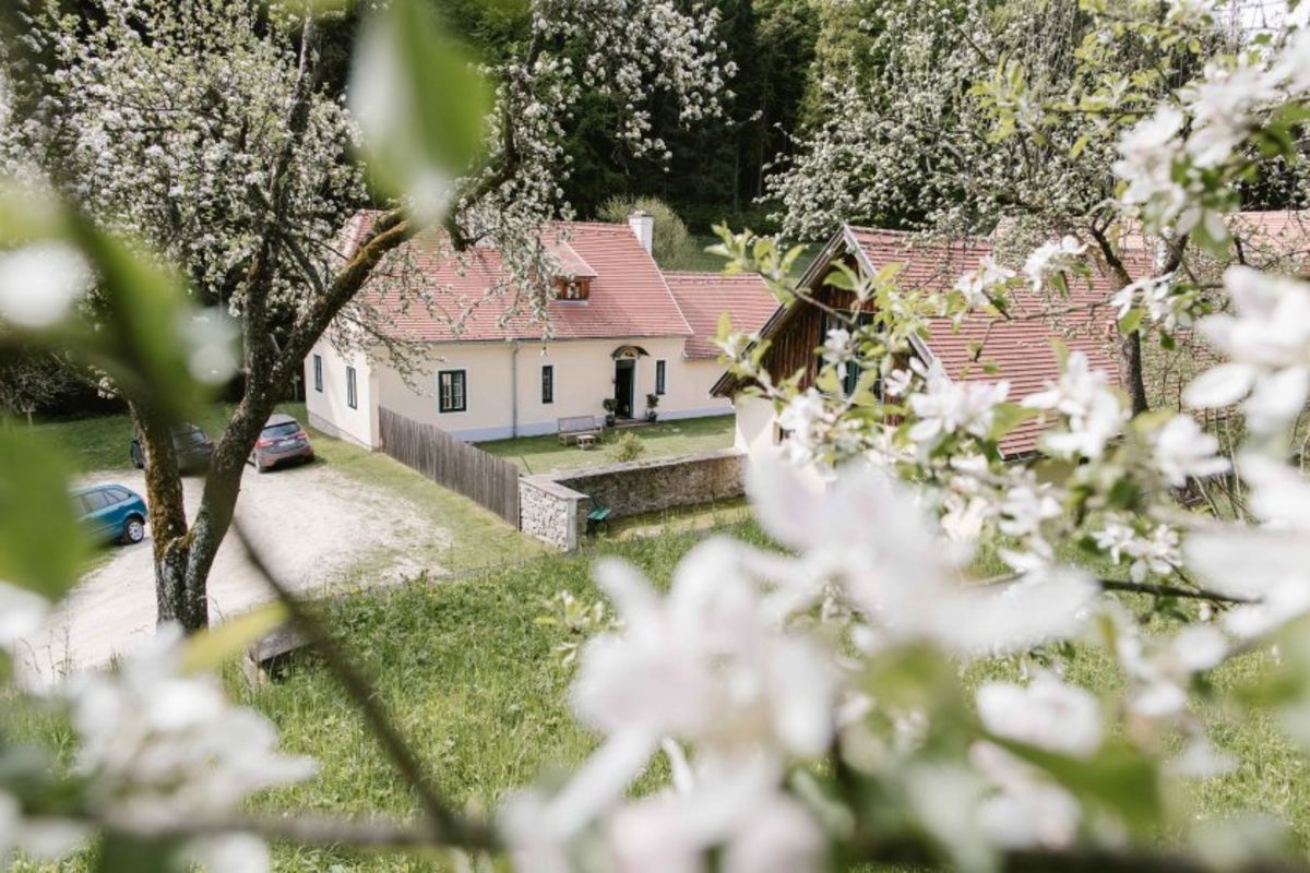 Hochzeitsreportage in Niederösterreich: Burgruine Dobra ♥ ... Hochzeitsreportage in Niederösterreich: Burgruine Dobra ♥ ...